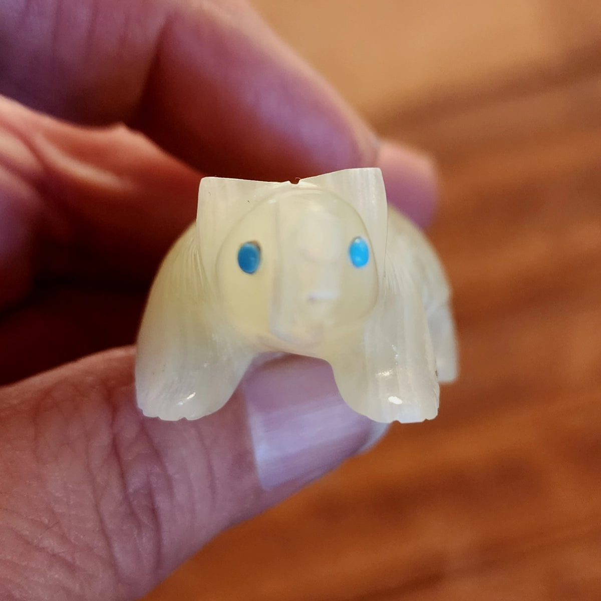 Sunshine Badger – Gathering Tribes